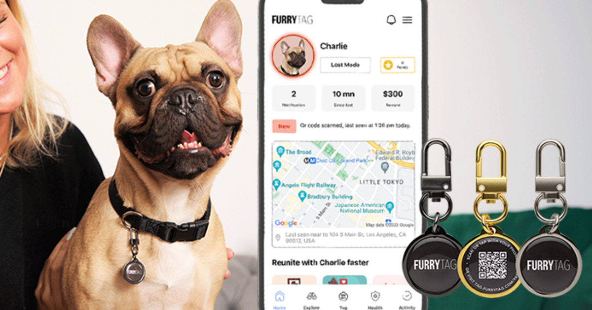 Furry Tag : The Most Advanced and Safest Pet Tag | Indiegogo