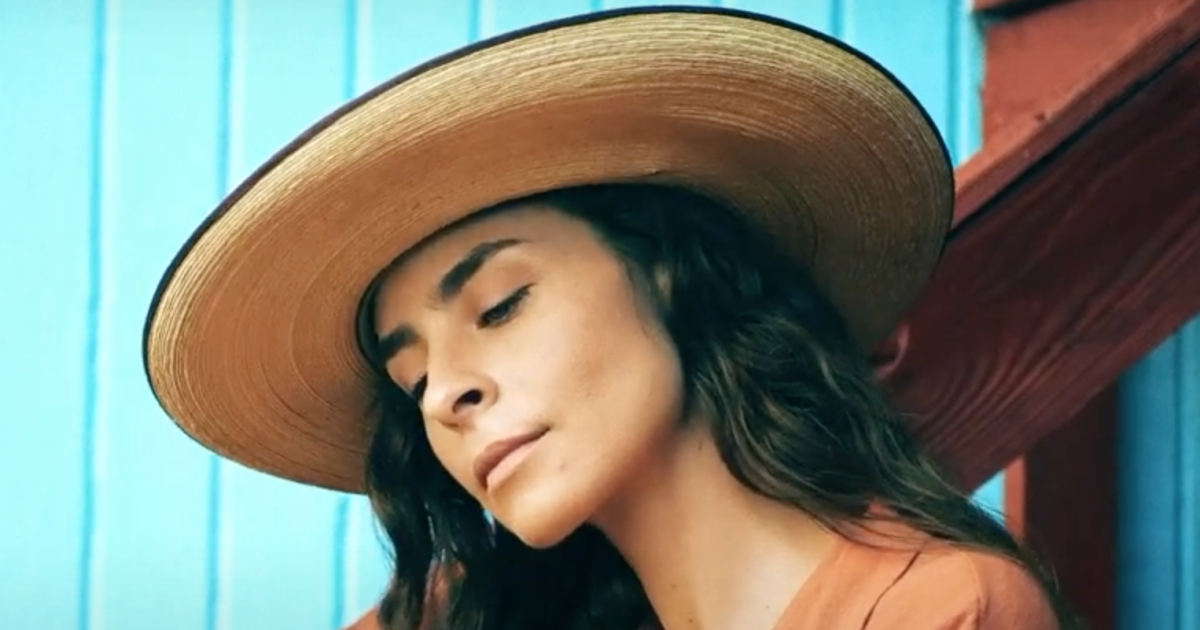 Diana Carr Music Launch | Indiegogo