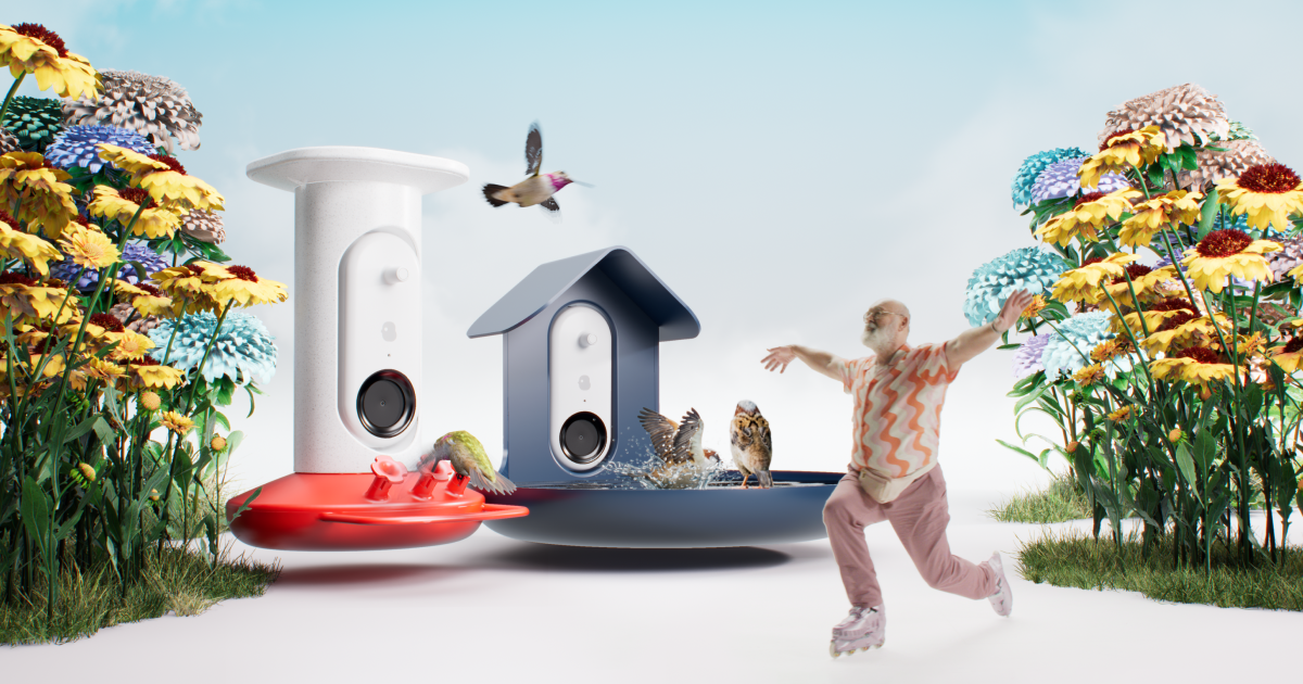 Bird Buddy: The Summer of Birds | Indiegogo