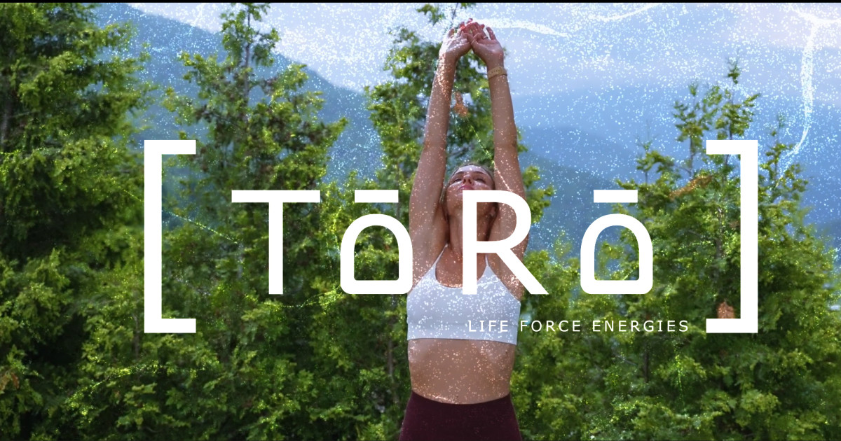 Toro - Life Force Energy | Indiegogo