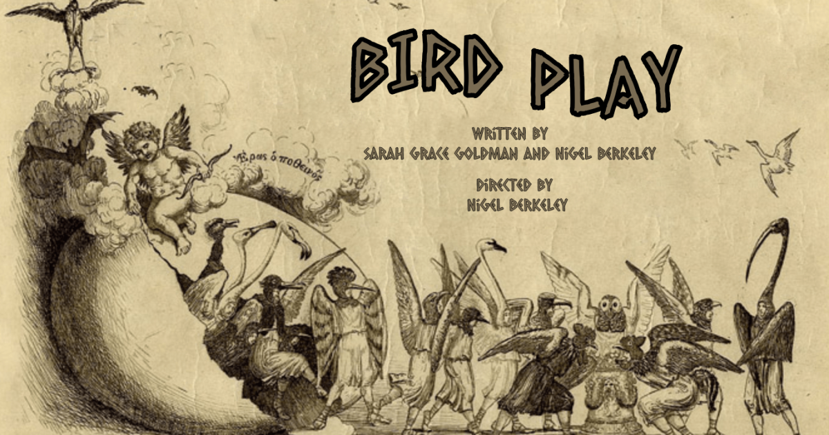 bird play | Indiegogo