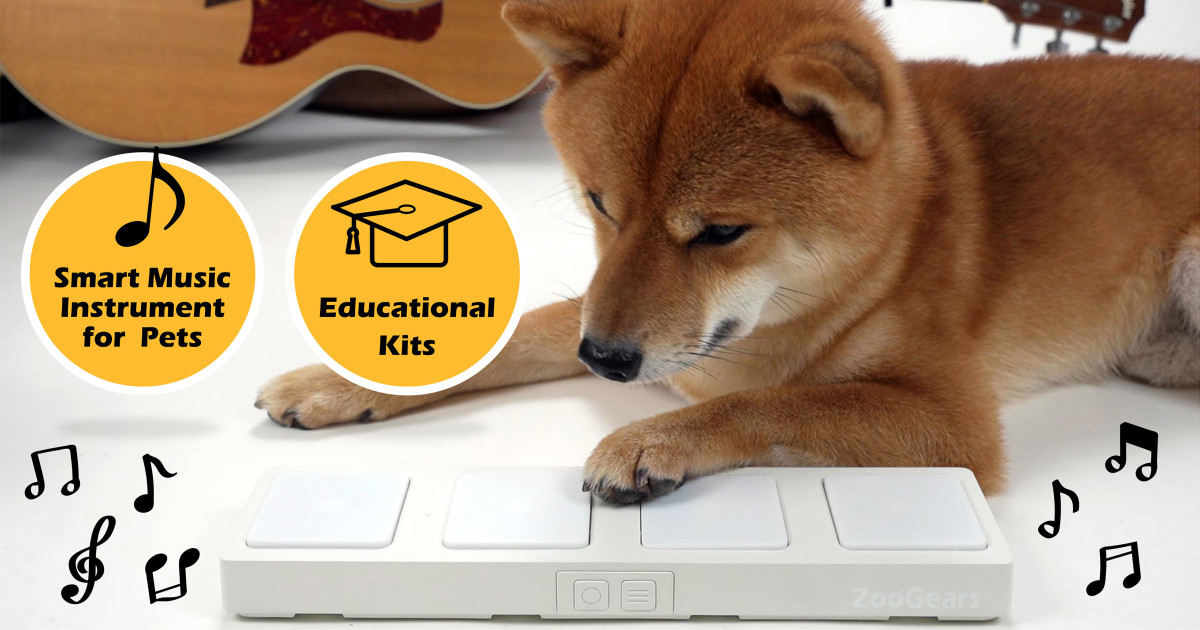 All-In-One Smart Music Instrument for Dogs | Indiegogo