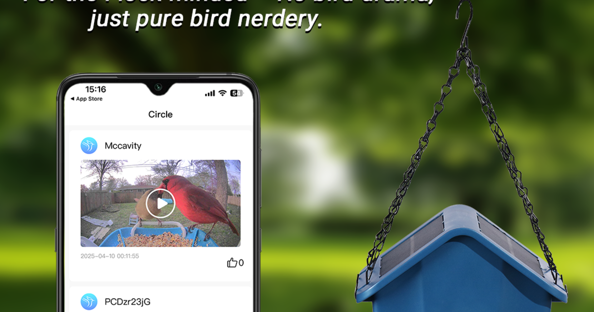 TKBIRD: Best HD Camera Smart-Vision Bird Feeder | Indiegogo