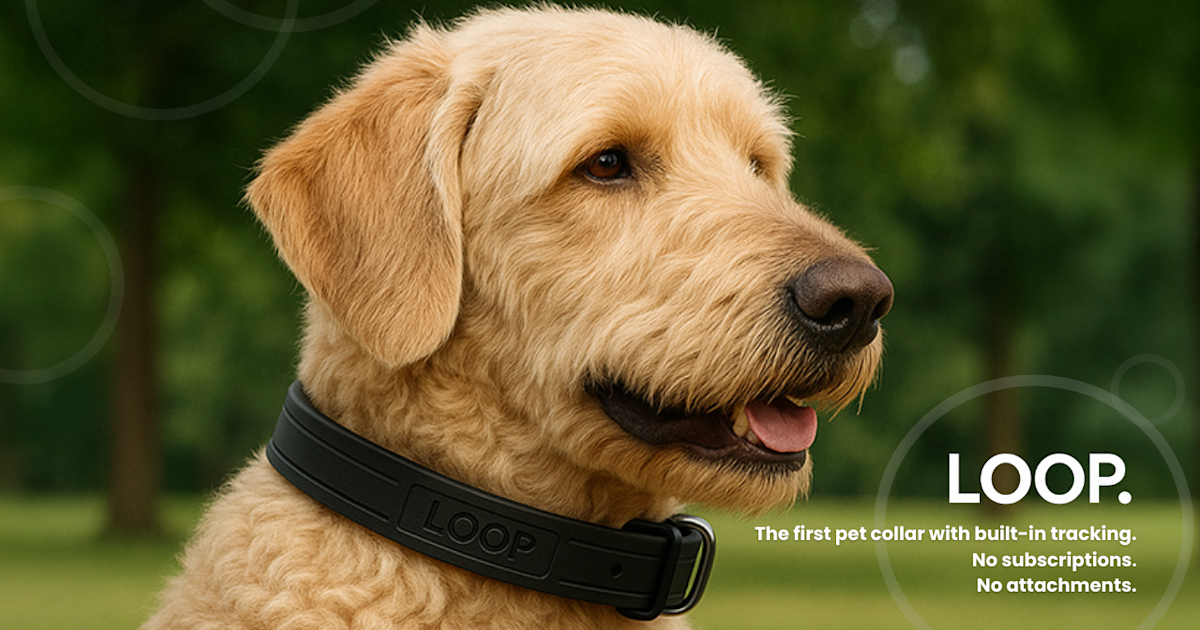 LOOP Pet Tracker | Indiegogo