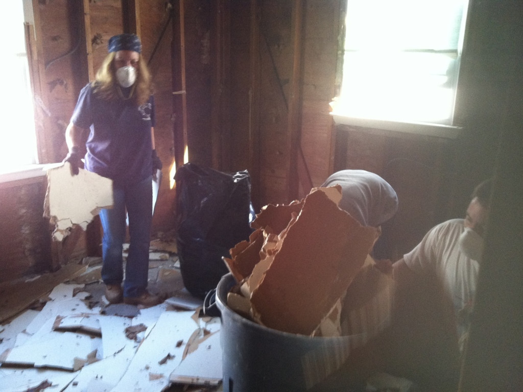 Would you please help my dear cousin Laura fix her 1 bedroom apt Sandy ...