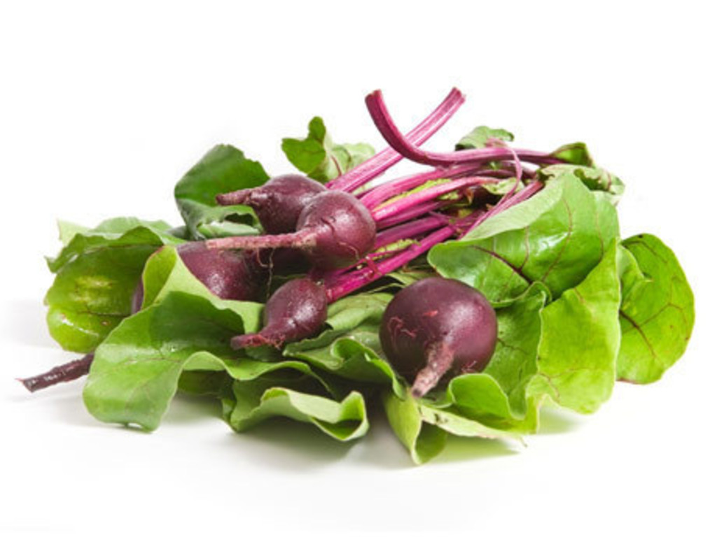 Beet Soup, Beet Poop | Indiegogo