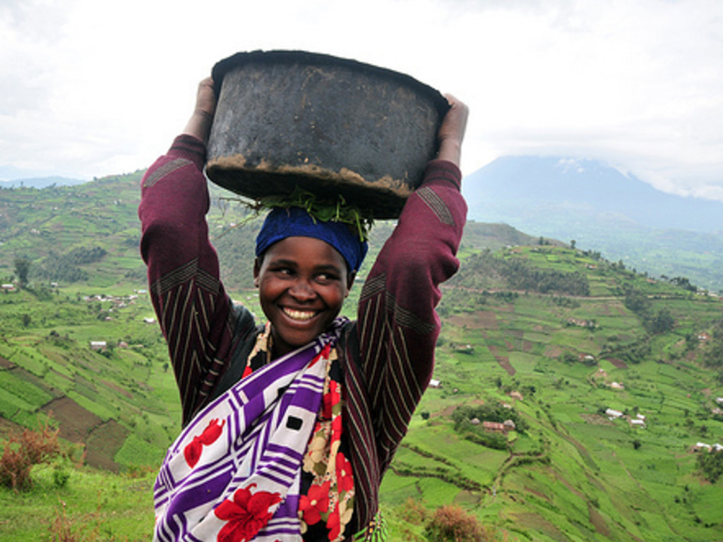 Environmental Impacts of War - Researching Rwanda's Forests | Indiegogo