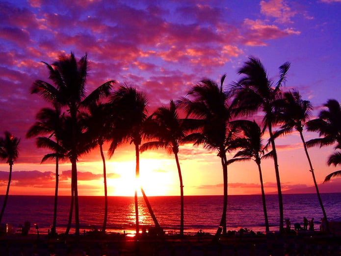 We're off to Hawaii! Help us have a blast! | Indiegogo