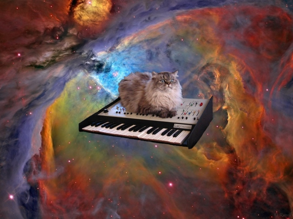 Earth Magick | Indiegogo