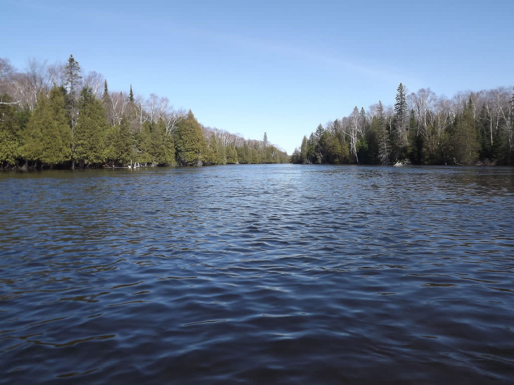 SAVE THE WETLANDS AND MAGNETAWAN RIVER | Indiegogo