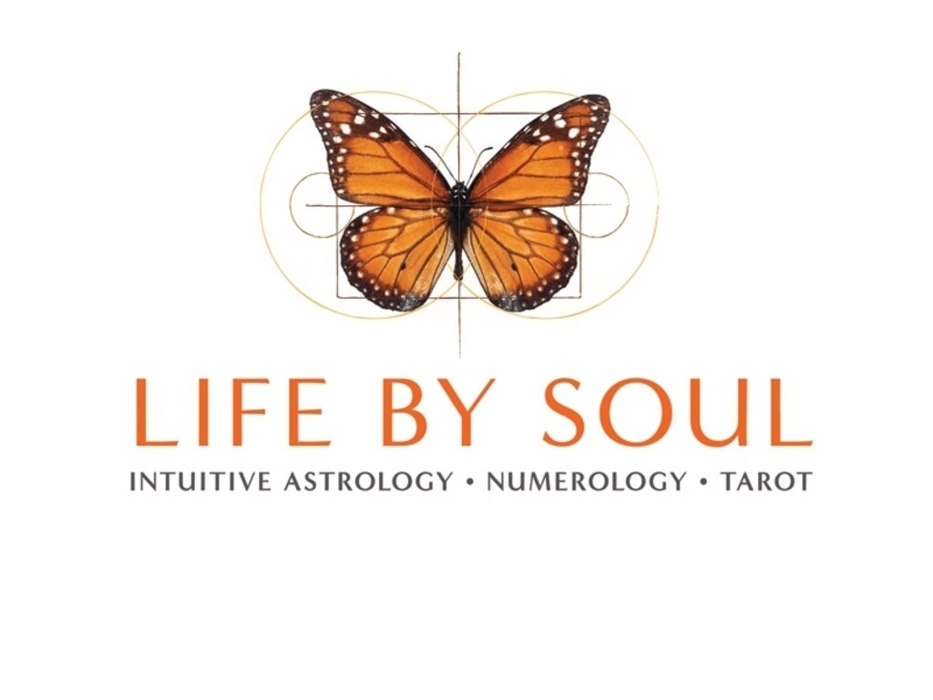The Life By Soul System Book | Indiegogo