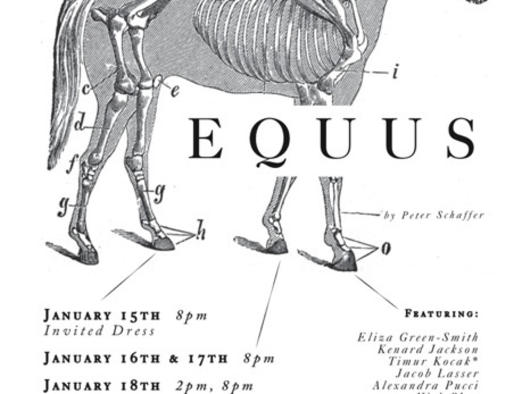 EQUUS | Indiegogo
