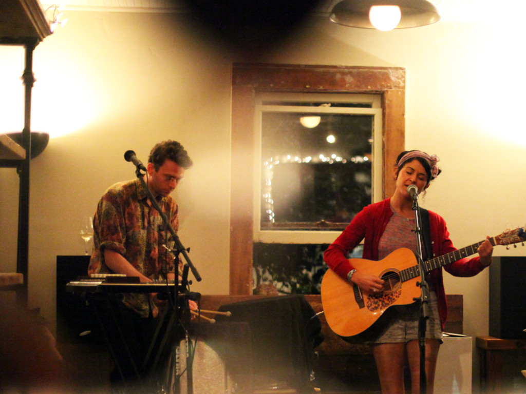 Help Salt Minds record a weird folk record? | Indiegogo