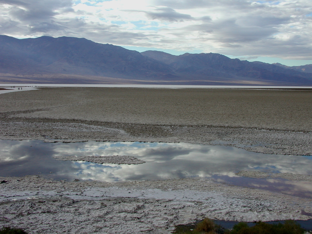 Surfaces in Nature | Indiegogo