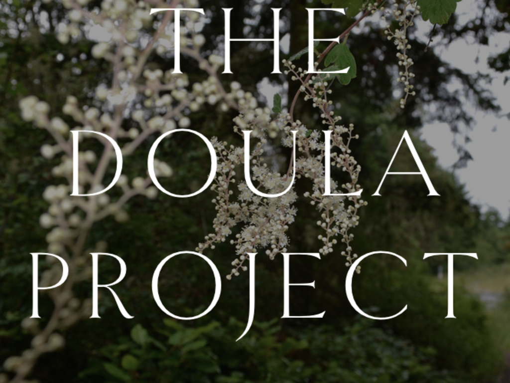 The Doula Project: Bouquet of Choice | Indiegogo