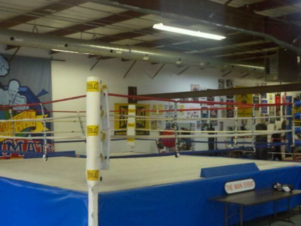 A fictional boxing novel: A Fighter's Chance | Indiegogo