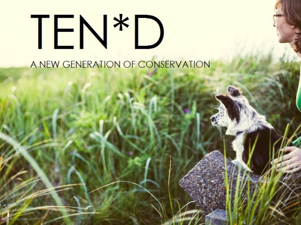 TEN*D | Indiegogo