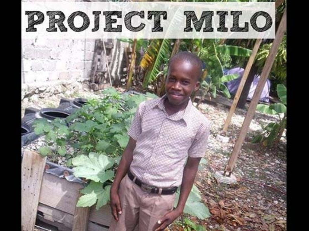 Project Milo | Indiegogo