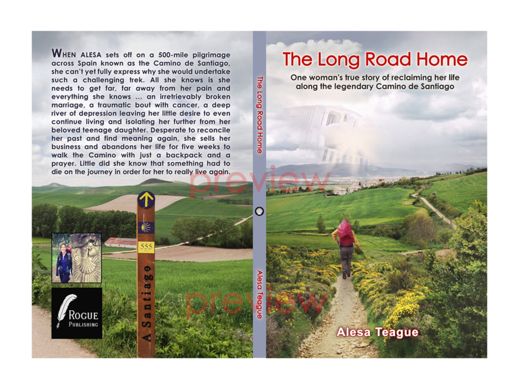 The Long Road Home My Journey On The Camino De Santiago Indiegogo