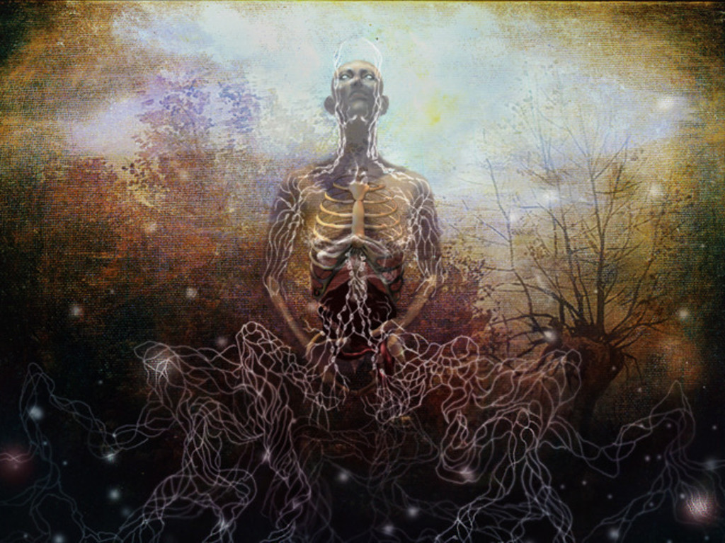 Ardra's Lyme Treatment | Indiegogo