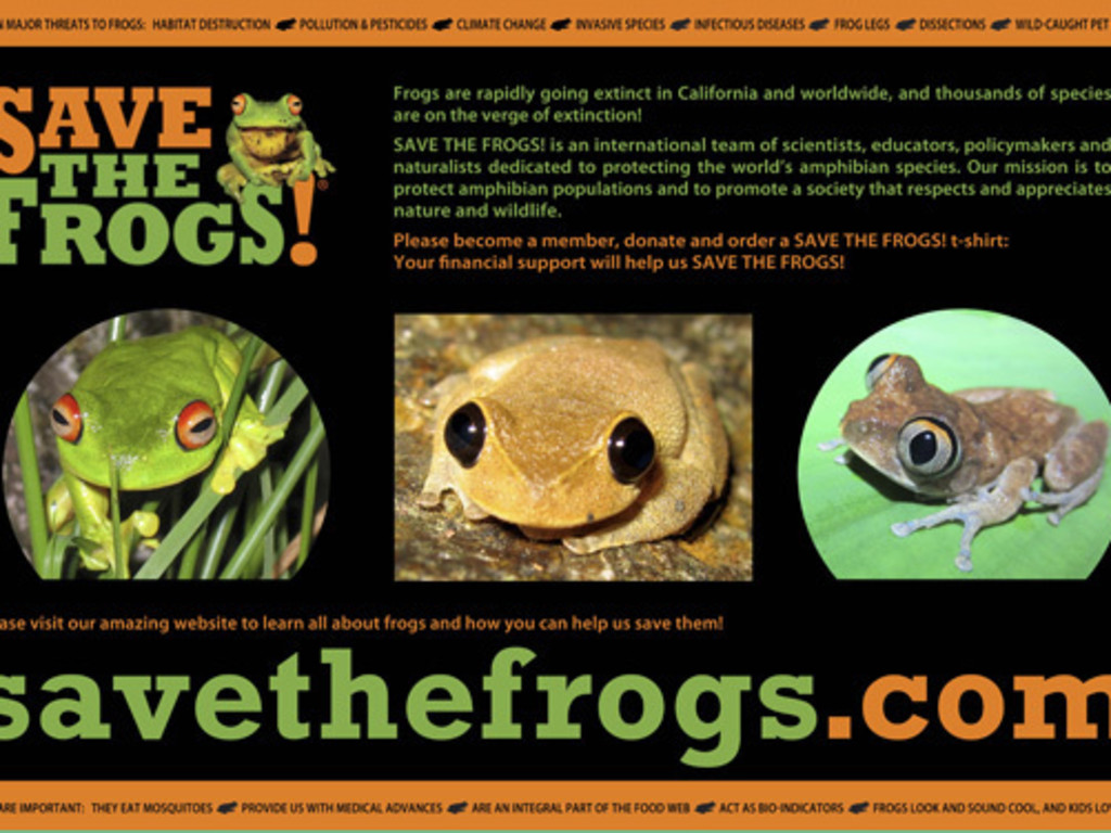 SAVE THE FROGS! Educational Posters in John Wayne International Airport ...