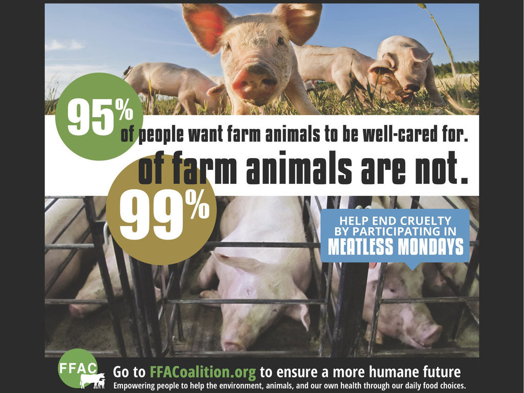Factory Farming Ads | Indiegogo