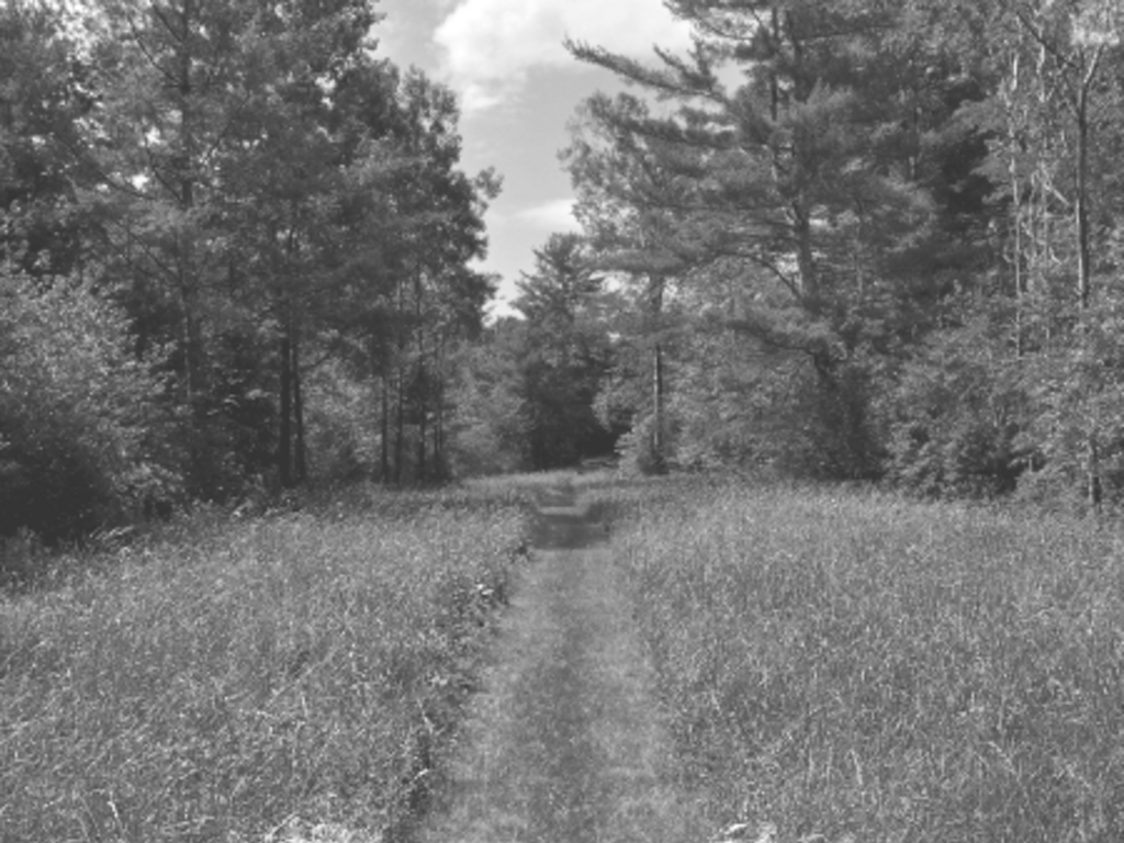 Dragua Montana | Indiegogo