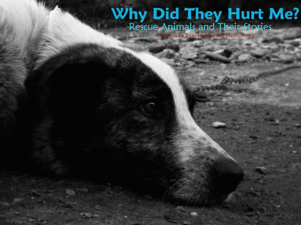 Why Did They Hurt Me? | Indiegogo