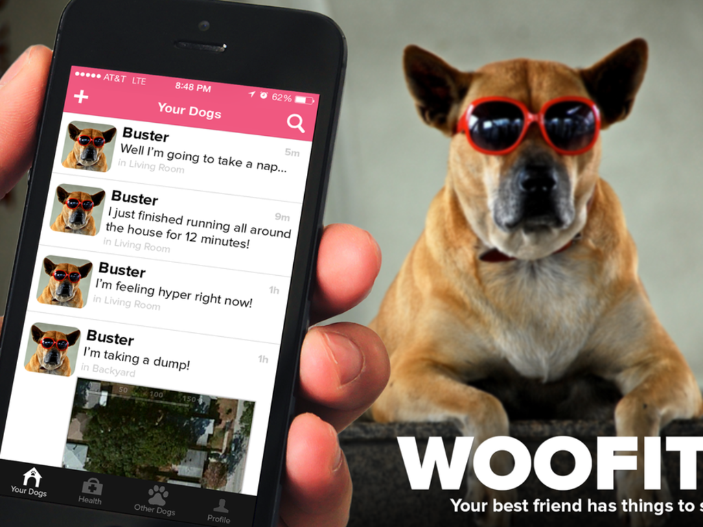 WOOFIT! | Indiegogo