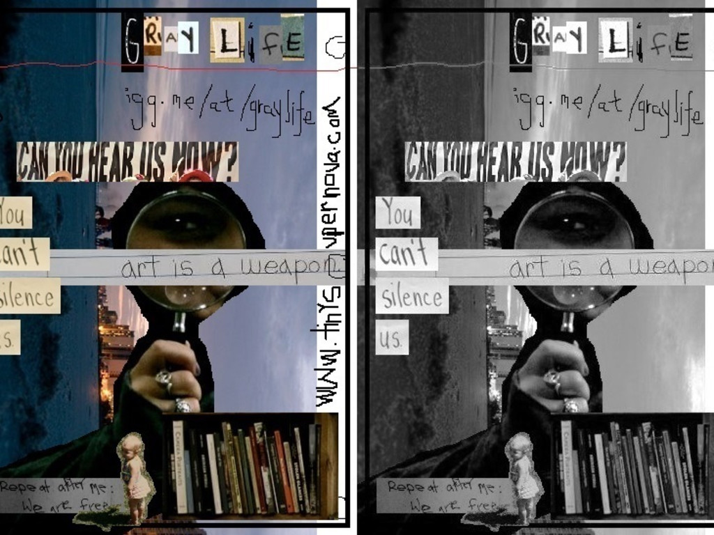 Gray Life | Indiegogo