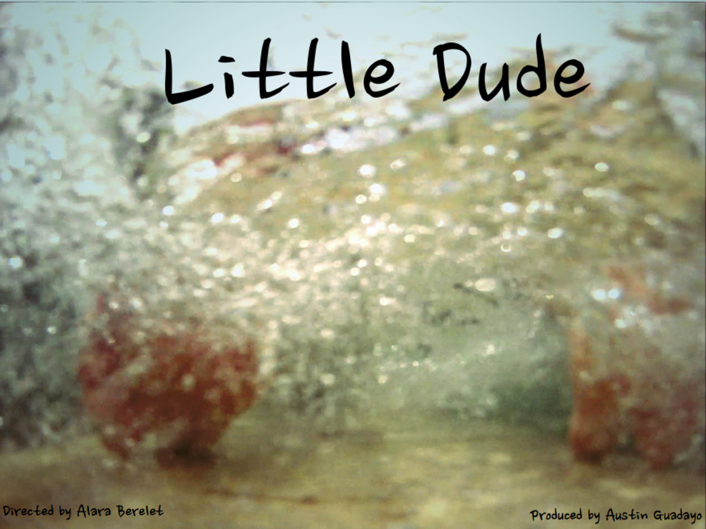 Little Dude | Indiegogo