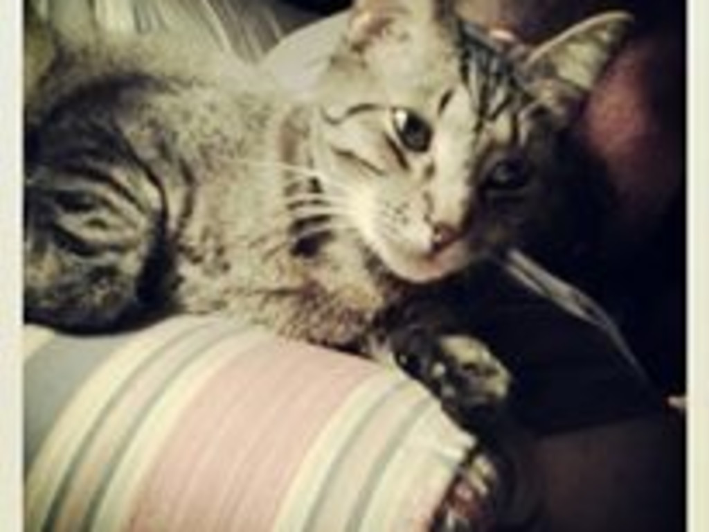 Monica-Ray Fund | Indiegogo