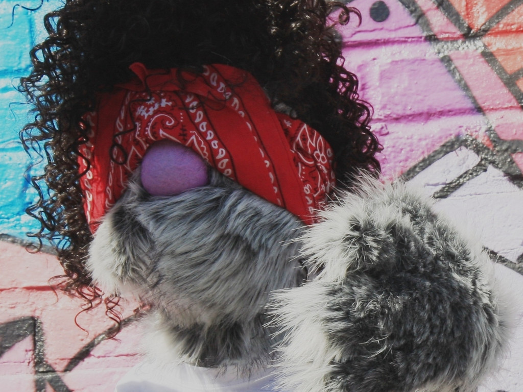 Sex Fuzz And Rock N Roll Indiegogo