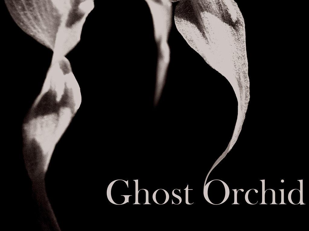 Ghost Orchid | Indiegogo