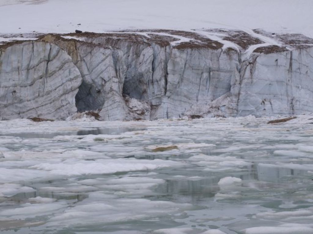 The Arctic Cycle | Indiegogo