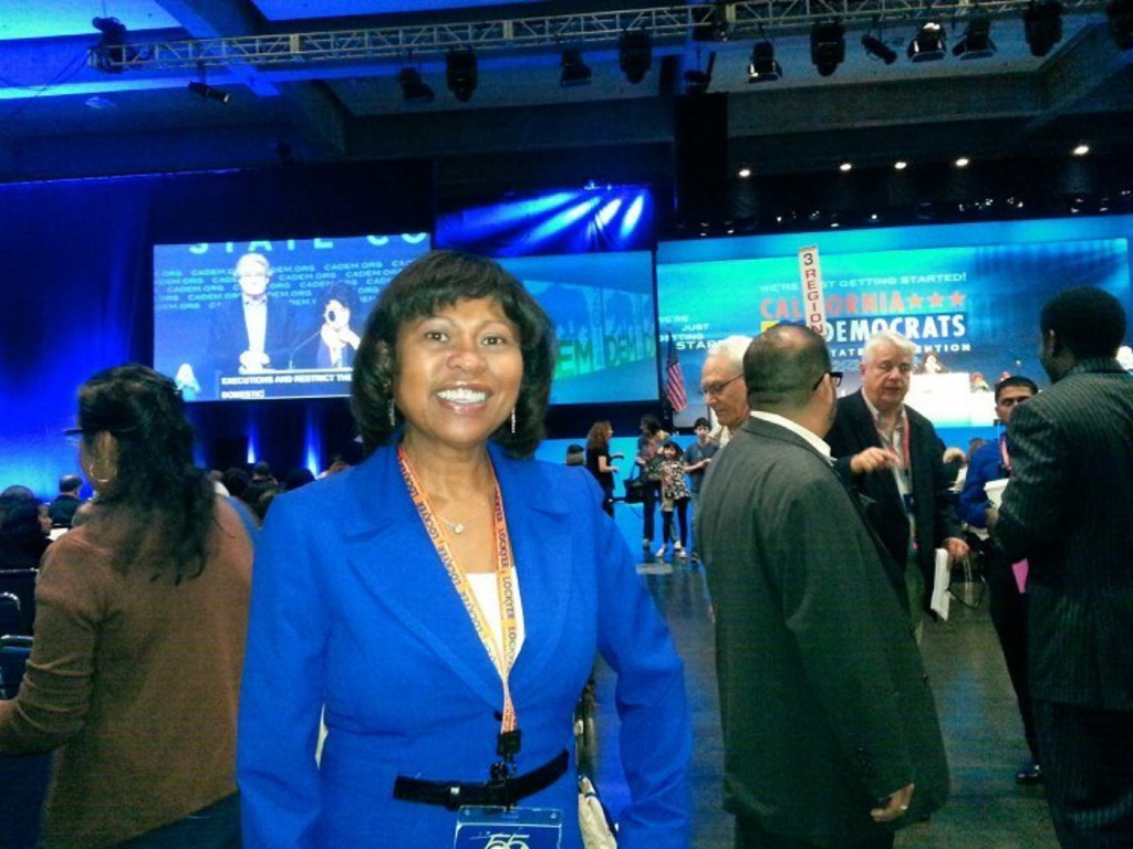 Send Pam McDonald to the California Democratic Convention 2014 | Indiegogo