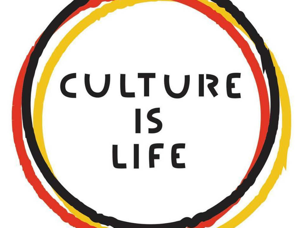Culture is Life Walk | Indiegogo