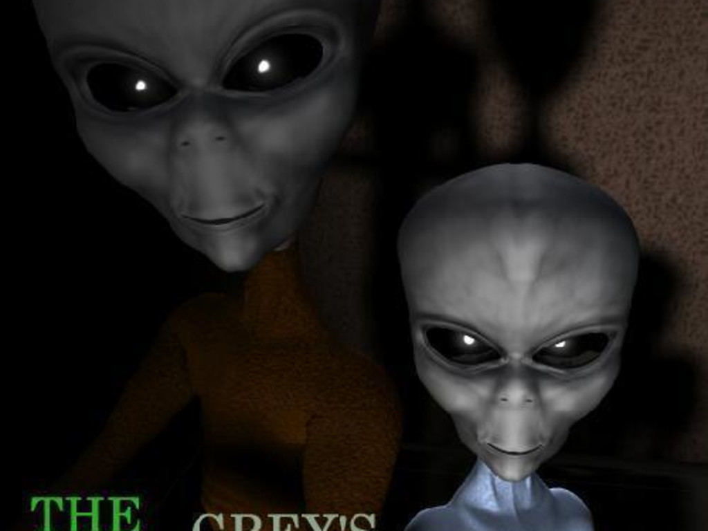 THE GREYS MOVIE | Indiegogo