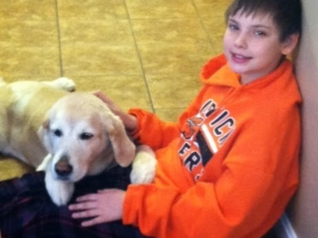 Remembering Rex | Indiegogo