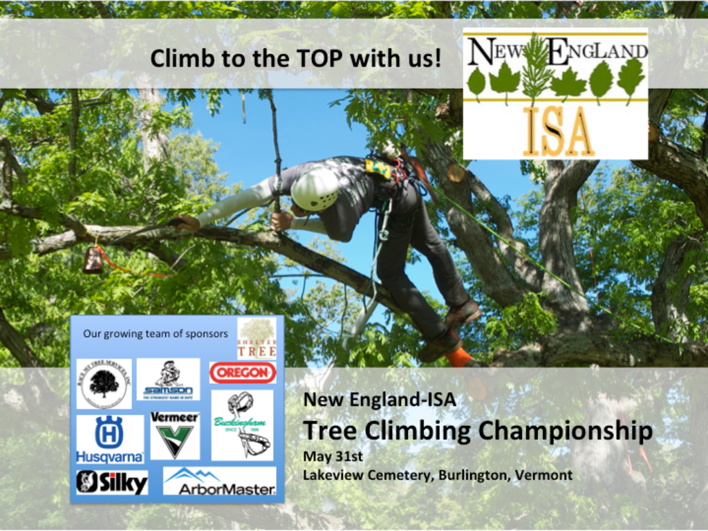 2014 New England Tree Climbing Championship | Indiegogo