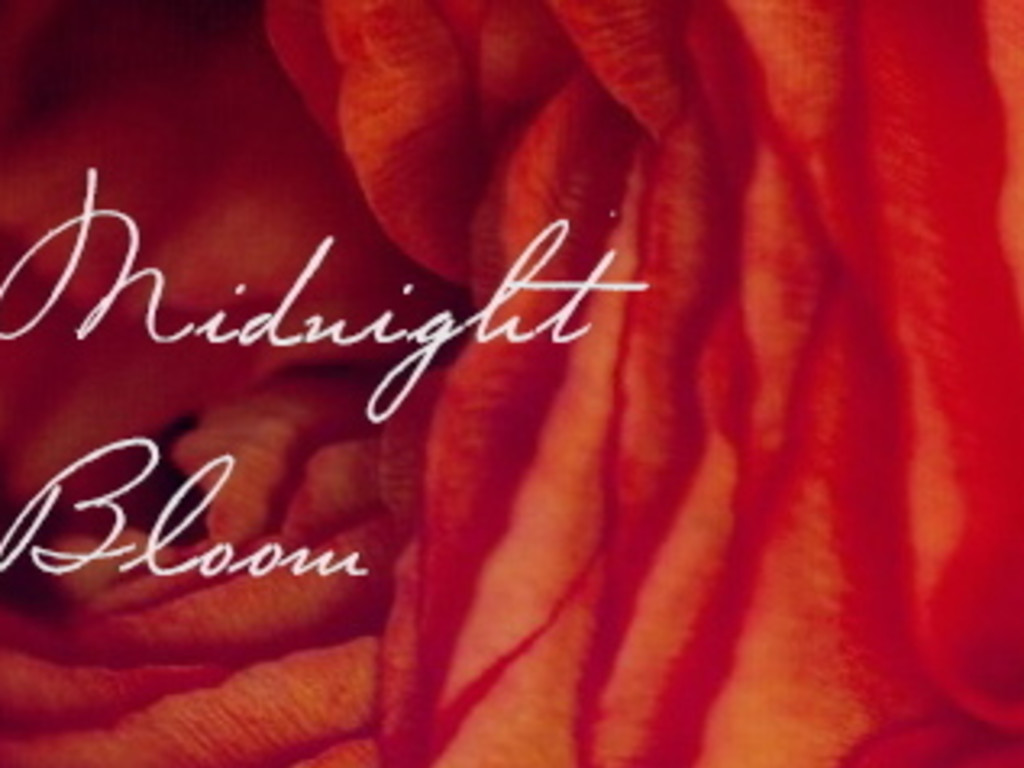 Midnight Bloom | Indiegogo