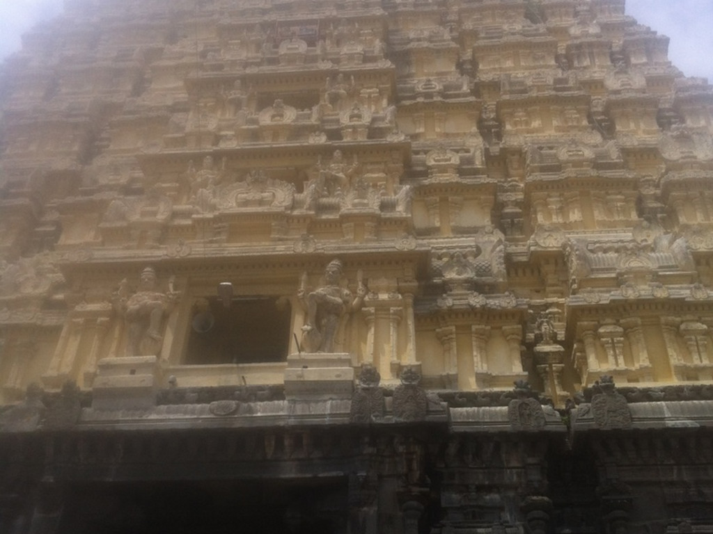 Get Jenee to India! | Indiegogo