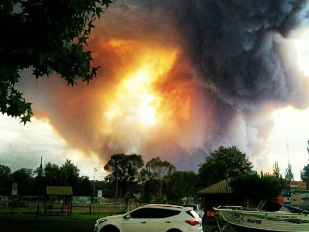 Project Phoenix : Growing hope from devastation | Indiegogo