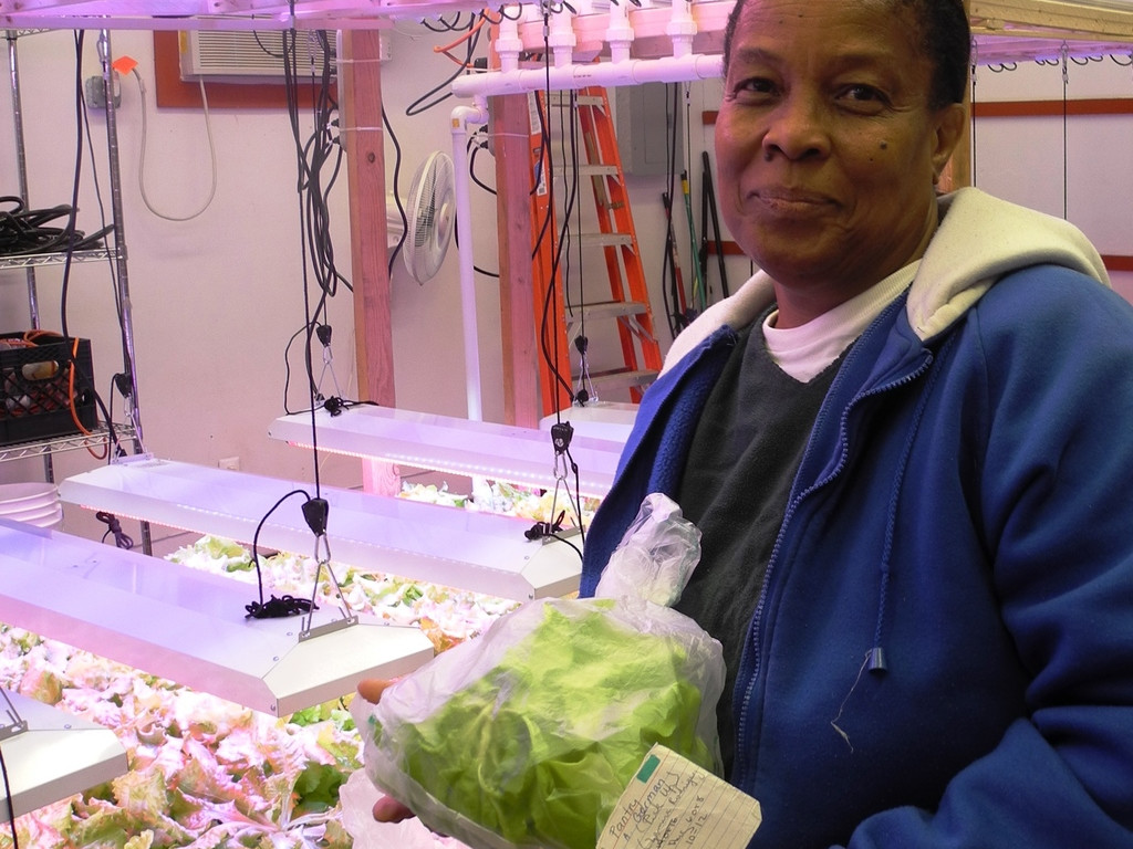 Harvest Against Hunger Spring Food Drive | Indiegogo