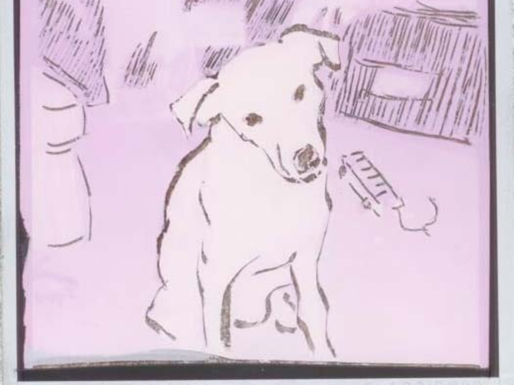 Yellow Dog Bookshop | Indiegogo