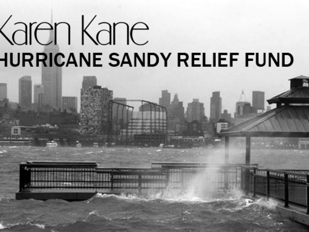 Hurricane Sandy Relief | Indiegogo