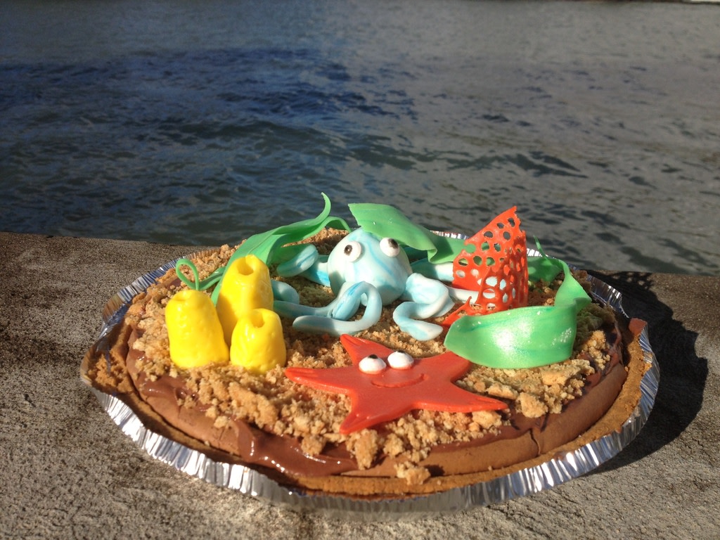 Blue Ocean Institute Sandy Relief | Indiegogo