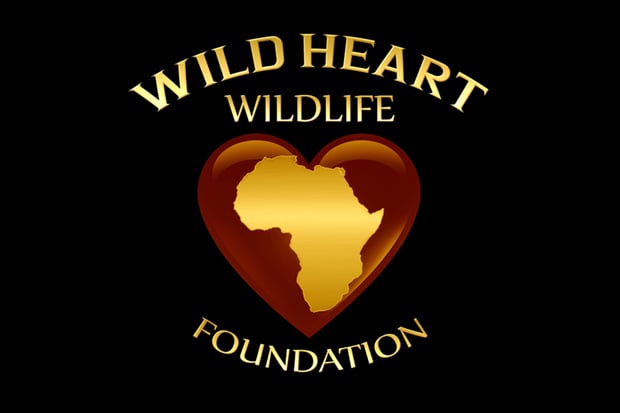 Helping to save African Wildlife NPO launch. | Indiegogo