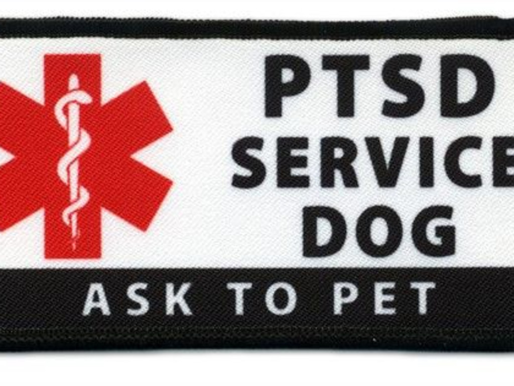 PTSD Service Dog | Indiegogo