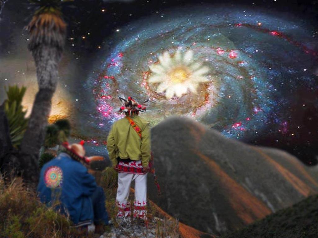 The Wixaritari Renovation | Indiegogo